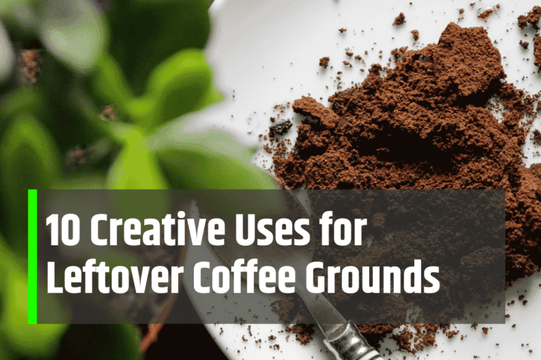 10 Creative Uses for Leftover Coffee Grounds