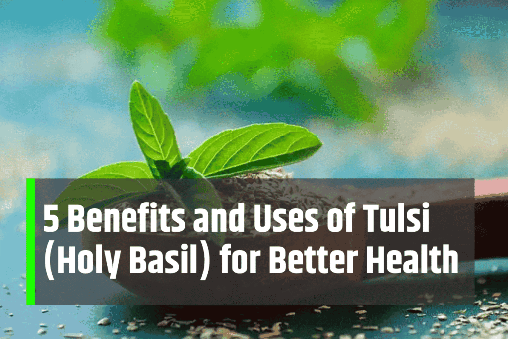 5 Benefits and Uses of Tulsi (Holy Basil) for Better Health